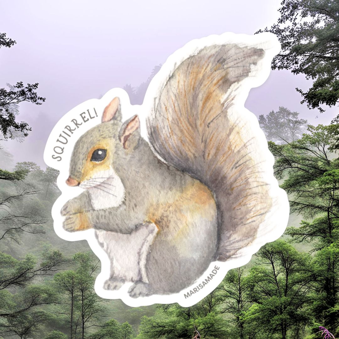 Squirrel Sticker – MarisaMade