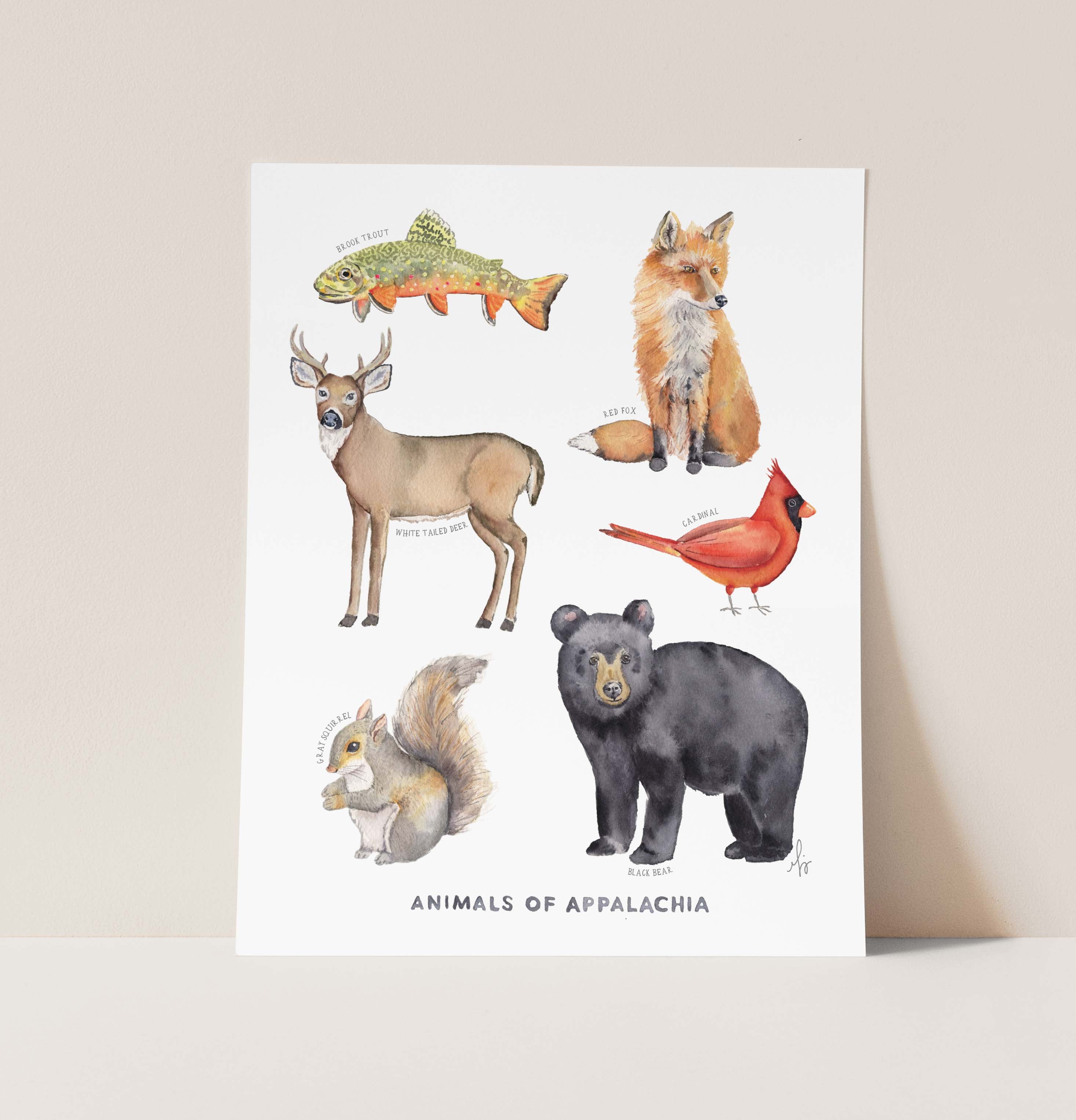 Animals of Appalachia Art Print – MarisaMade