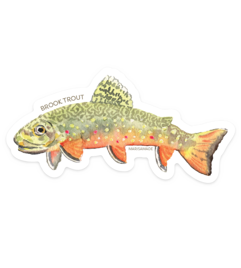 Brook Trout Sticker – MarisaMade