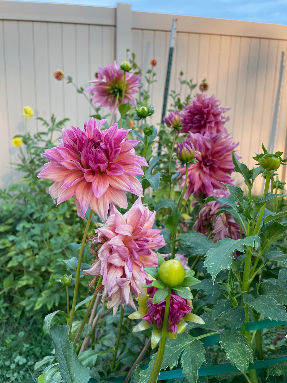 Marisa Jackson: About the Artist – MarisaMade