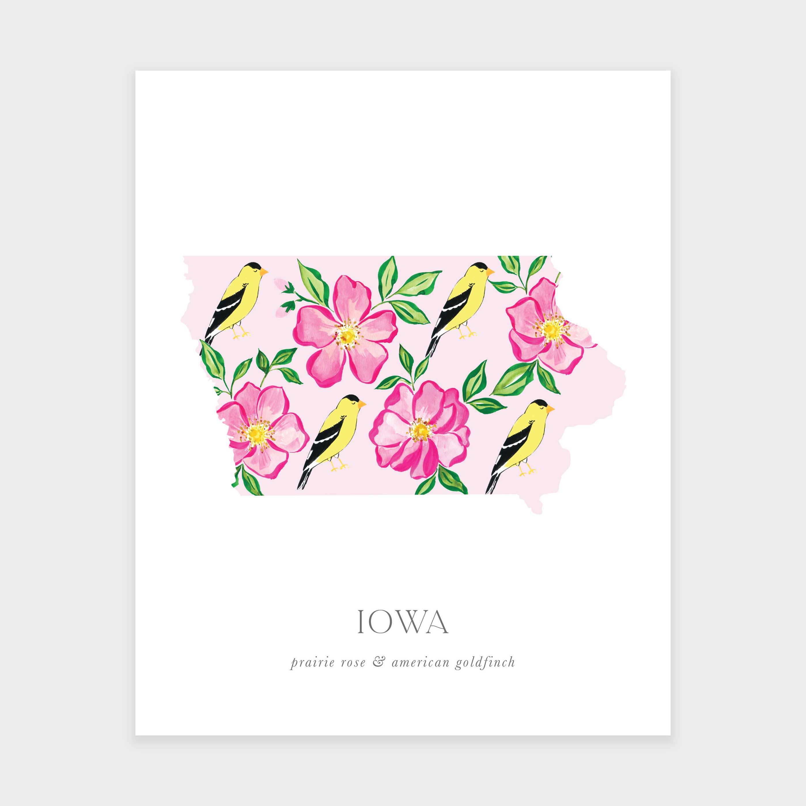 Iowa State Flower Art Print – MarisaMade