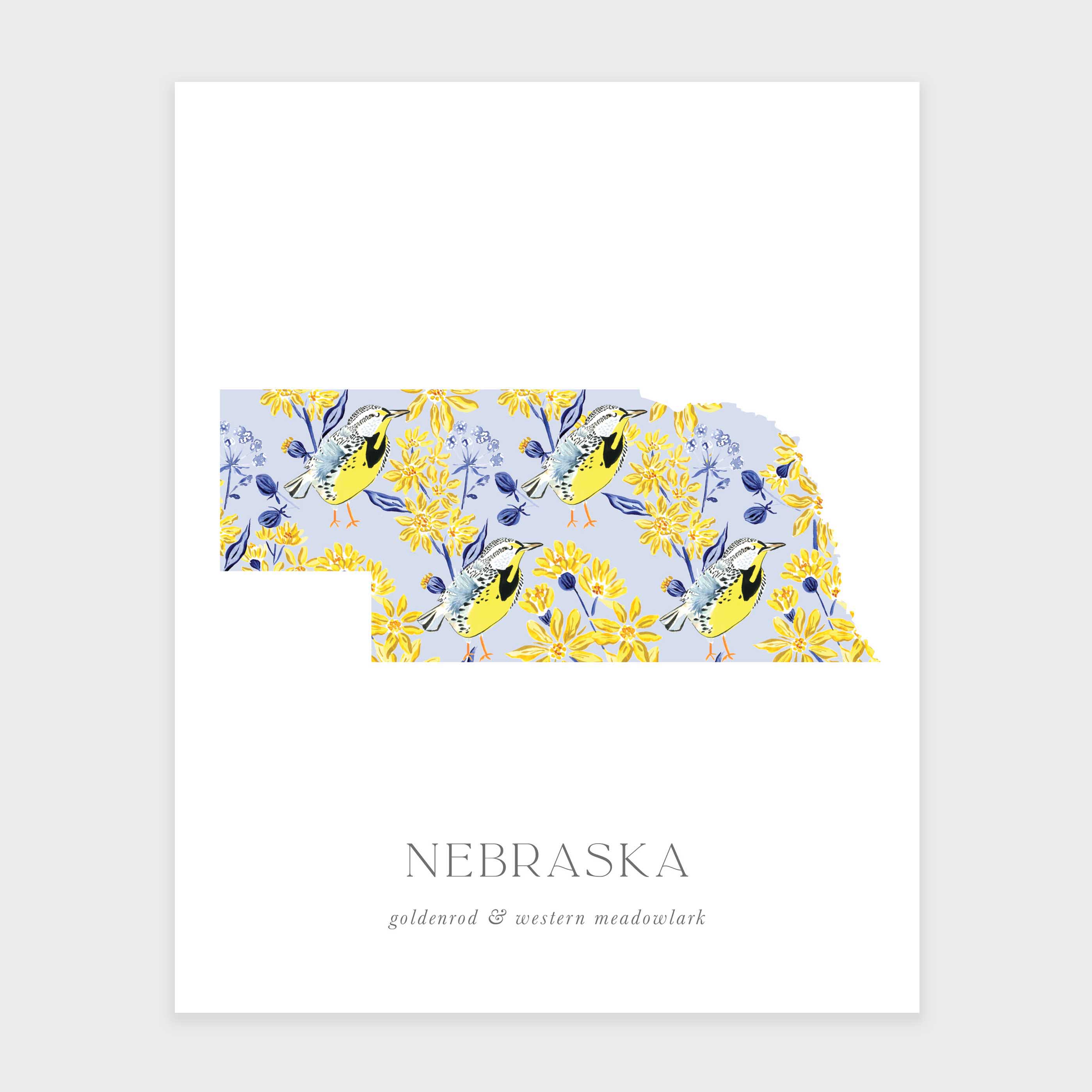 Nebraska State Flower Art Print – MarisaMade